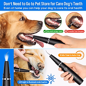 Ultrasonic Dog Teeth Cleaning Kit for Pet Teeth Cleaning, Dog Plaque Remover for Teeth, 5 Modes Dog Tartar Remover for Teeth Care to Remove Stains Calculus, 10 in 1 Pet Cleaner Toothbrush (Black)