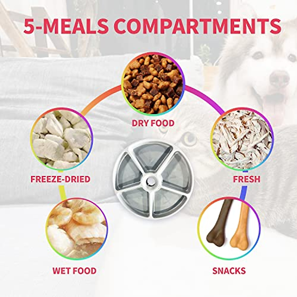 All For Paws Automatic Cat Feeders,5 Meal Automatic Dog Feeder,Cat Food Dispenser with Programmable Timer,Automatic Pet Feeder for Dry and Wet Food
