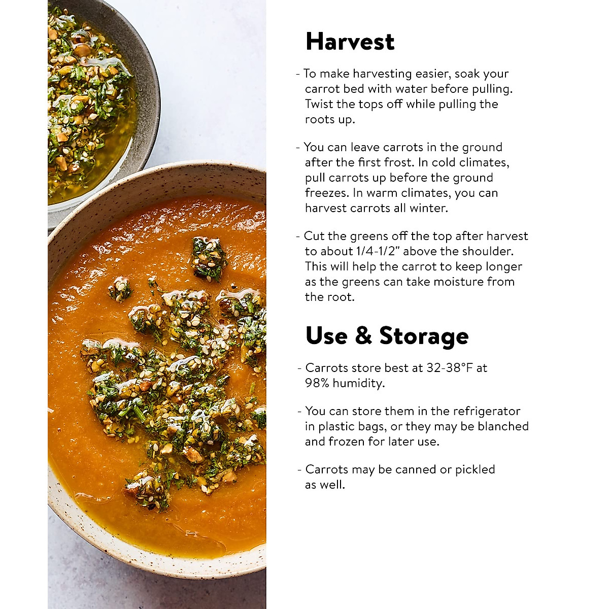 Burpee Kaleidoscope Blend Carrot Seeds | 1500 Non-GMO Seeds | Rainbow Carrot Seeds for Planting | Vegetable Seeds for Planting Home Garden | Five Colors: Red, Orange, Purple, White, and Yellow