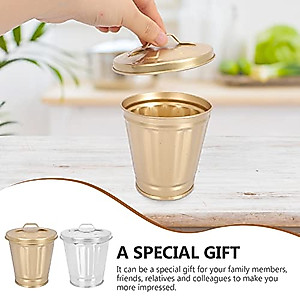 TOPBATHY 2 Pcs Mini Trash Can Metal Garbage Can with Lid Pencil Cup Holder Desktop Wastebasket Galvanized Garbage Holder Flower Buckets for Home Kitchen Office Decor