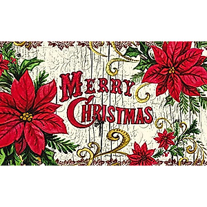 Evergreen Garden Poinsettia Floor Embossed Door Mat, Multicolor