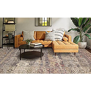 RORA Area Rug 5x7 Machine Washable Rugs for Living Room, Bedroom, Dining Room, Distressed Boho Home Decor Floor Decoration Carpet Mat