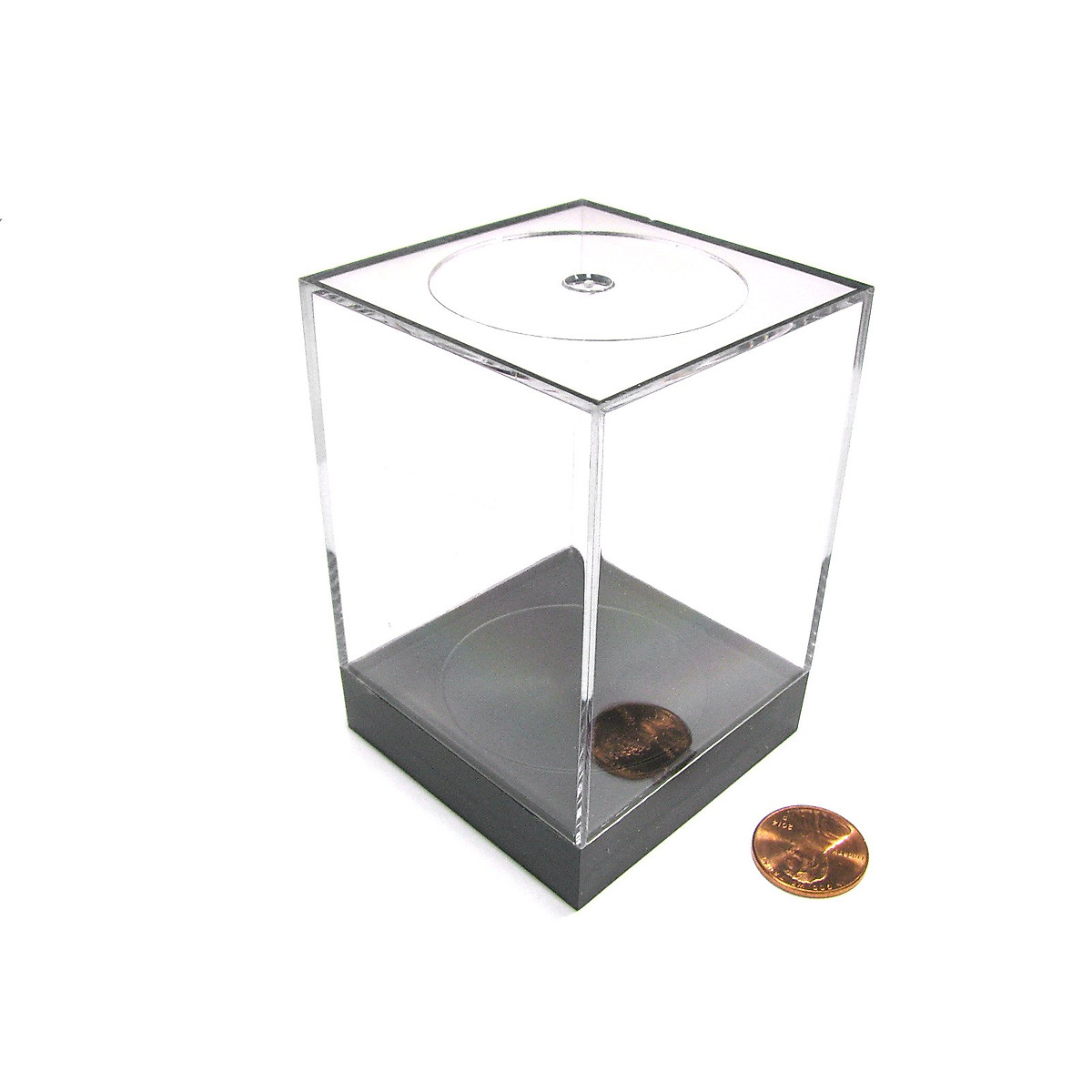Plastic Figure Display Box Large by Chessex Dice