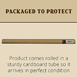 The Mindful Word Yoga Poses Poster (24x36 Inches) - Extra Large Yoga Poster with 62 Asanas/Positions/Stretches English & Sanskrit (Rolled/Tube)