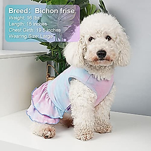 cyeollo 2 Pack Tie Dye Dog Dress Stretchy Dresses Breathable Pet Soft Dog Clothes for Small Dogs Girl