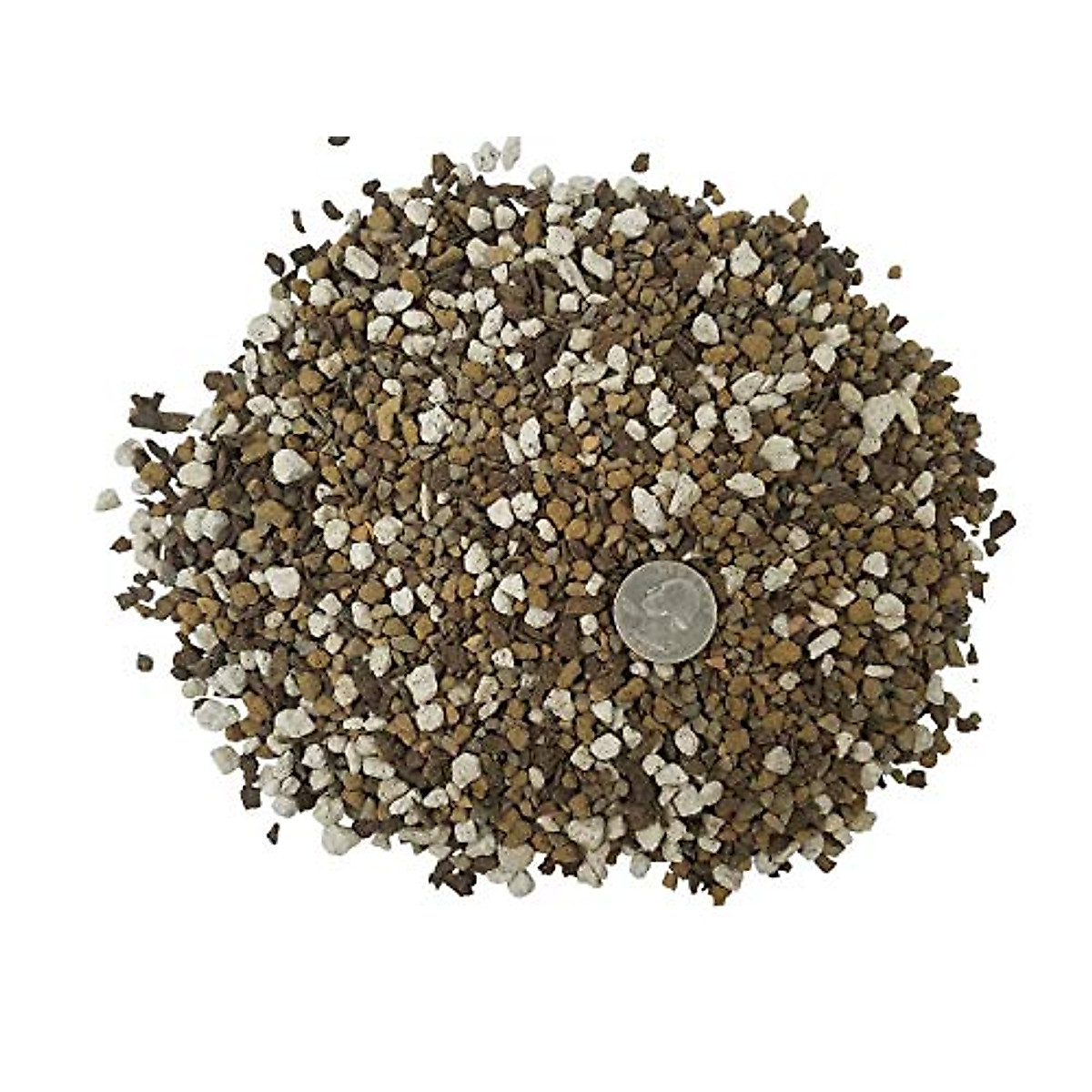 Succulent & Cactus Soil Mix - Premium Pre-Mixed Fast Draining Blend (2.5 Dry Quarts)