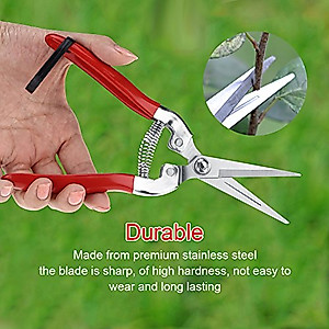 Sturdy Fruit Tree Bonsai Gardening Trimming Pruning Shears Garden Scissors Pruner Tool for Hand Pruners Trimmer Garden Clippers Flower Cutter (Straight Blade)