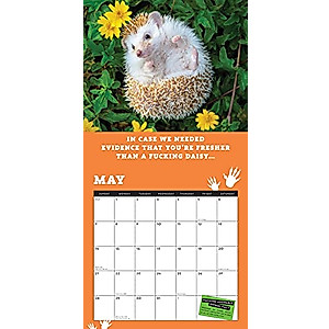 2023 Too F*cking Cute Animals Wall Calendar: A Year of D*mn Adorable Animals (Funny Monthly Calendar & White Elephant Gag Gift for Animal Lovers)
