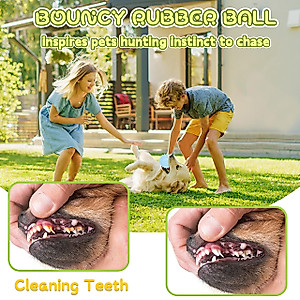 Petbuy Puppy Toys, 6 Pack Dog Chew Toys for Puppy,Teething Toys for Puppies, Soft Durable Interactive Chew Toy for Small Dogs (Blue)