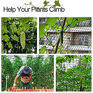 Trellis Net for Climbing Plants - Stretch to 5x5ft Elastic Grow Tent Scrog Net with 6 Hooks, Flexible Trellises Plant Growing Netting for Outdoor Garden Balcony Yard Plants