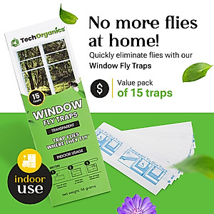 Fly Trap Indoor or Outdoor Usage | Window Fly Traps are Clear & Transparent | Also for Moths, Gnats, Fruit Flies, Spiders and Ants | Easy to Use - Easy to Dispose | Pack of 30