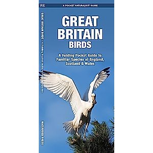 Great Britain Birds: A Folding Pocket Guide to Familiar Species of England, Scotland & Wales (Nature Observation International)