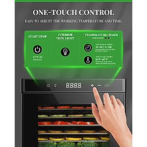 Stainless Steel GDOR Food Dehydrator with 8 Trays, Digital Adjustable Timer & Tempe Control Food Dryer Machine for Jerky, Vegetable, Fruit, Meat, Dog Treat, Herb, and Yogurt, Include More Accessories