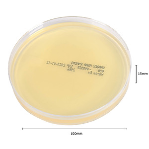 Emmon's Sabdex (Sabouraud Dextrose) Agar, for The Culturing of Fungi and Yeast, Deep Fill, 15x100mm Plate, Order by The Package of 10, by Hardy Diagnostics
