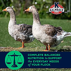 Kalmbach Feeds All Natural Non-GMO Flock Maintainer Pellets for Mixed Flocks of Poultry