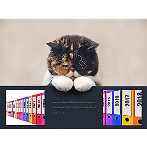 Greateam PT-D600 Label Tape 24mm Compatible with Brother TZe P-Touch Tape 24mm 0.94" TZe-251 TZe-651 TZe-151/451/551/751, 1 inch Label Maker Tape for PT-D600VP PTE500 PT-P700 PT-P710BT PT2730, 6Pack