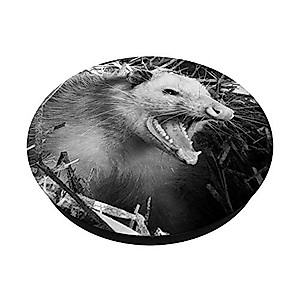 Opossum Possum Animal Happy Screaming Cute Wild Animal PopSockets PopGrip: Swappable Grip for Phones & Tablets