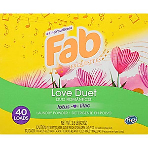 Fab Love Duet Powder Laundry Detergent (2.6 lbs)
