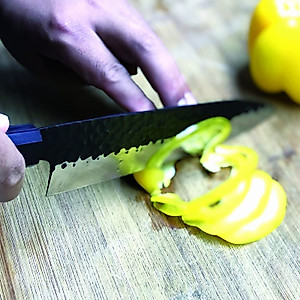 TenSteed Chef Knife Japanese Gyuto Chef Knife,Professional Hand Forged Kitchen Chef Knife, 5 Layers 9CR18MOV High Carbon Meat Sushi Knife with Sandalwoods Handle & Gift Box (8 inch)