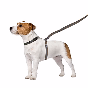 ThunderLeash No-Pull Dog Leash (Large (Over 25 lbs), Grey)