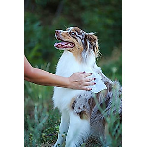 earthbath, Oatmeal & Aloe Grooming Wipes – Dog Wipes for Paws and Butt, Best Pet Wipes for Dogs & Cats, Helps Relieve Itchy & Dry Skin, Made in USA, Cruelty-Free – Vanilla & Almond 100 Count (1 Pack)