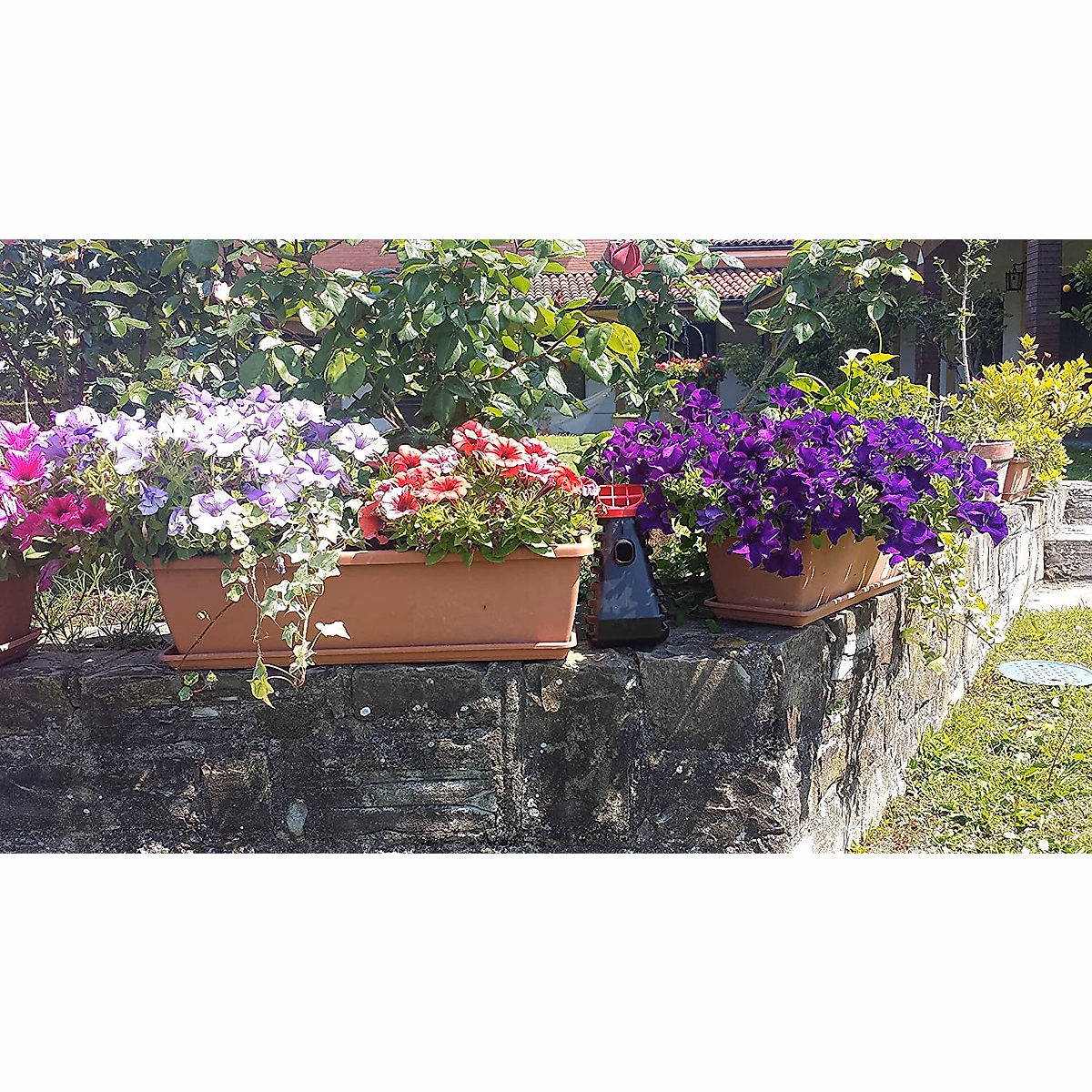 INZECTO Mosquito Trap - Device to Effectively Attract Mosquitoes and Kill Larvae - Revolutionary Outdoor Mosquito Solution Simply Activated by Water (1 Trap)