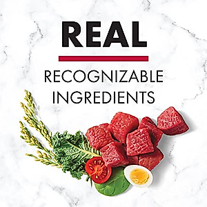 Nutro Natural Choice Adult Dry Dog Food, Beef & Brown Rice Recipe Dog Kibble, 12 lb. Bag