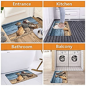 Custom Rug Personalized Decor Mat 15.7x23.6 inch, Customize Your Own Picture and Print Text, Modern Carpet ​for Home Decoration Area Rug