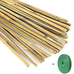 Yowlieu 20 Pcs Natural Bamboo Stakes + 1 Roll Garden Ties, 18 Inches Bamboo Sticks Gardening Plant Support Stakes for Indoor Plants, Tomato, Potted Plants