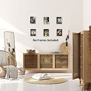 HW Hongwu Kobe Bryant Canvas Wall Art Painting – Print Pictures Art Lakers Painting 8x10 inches Set of 6 Unframed for for Home Décor