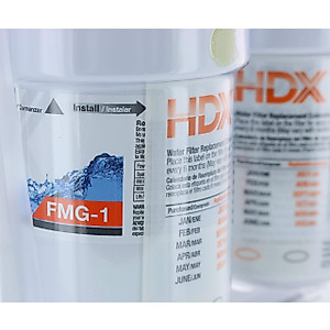 Refrigerator Water Filter (fits in place of GE model MWF) (Dual Pack)