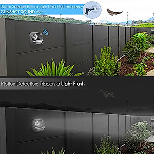 Serene Life Electronic Mountable Outdoor Pest Repeller - 2018 Upgraded Battery Powered Ultrasonic Sound Eco Humane Home Lawn Yard Garden Bird and Bat Repellent Control w/ Motion Sensor, Light PSLBRP4