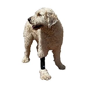 Labra Extra Supportive Dog Canine Front Leg Metal Spring Compression Brace Wrap Sleeve Protects Wounds Brace Heals and Prevents Injuries and Sprains Helps with Loss of Stability Caused by Arthritis…