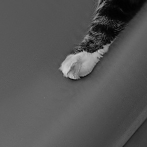 Allisandro Water-Proof Dog Bed, Washable Mat Crate Pad, Durable Pet Beds Soft Dog Mattress, Anti-Slip Kennel Pads for Dogs, Cats and Small Animal, Grey (18 x 12 Inches)