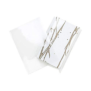 ClearBags Flat Open Top Bags, 2 1/2 x 3 1/2, 100 Pack, Clear Photo Storage Bag, Plastic Sleeves, Sheets for Card, Art, Crafts, Crystal Clear, Archival Safe, B23CNFA