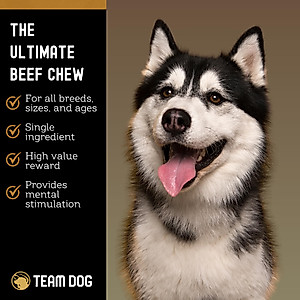 TEAM DOG Beef Trachea Dog Chews | Single Ingredient Dog Treat | 100% Freeze Dried Beef Gullet Sticks for Dogs | Supports Healthy Teeth & Gums | All Natural Esophagus Dog Treats Made in USA | 3 Per Bag