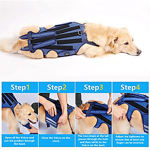 Coodeo Dog Back Brace for Dogs Arthritis, Pet Back Bracer for IVDD, Back Protector Helps Pain Relief, Surgical Recovery and Rehabilitation, Dogs Back Disease Prevention. (Medium)