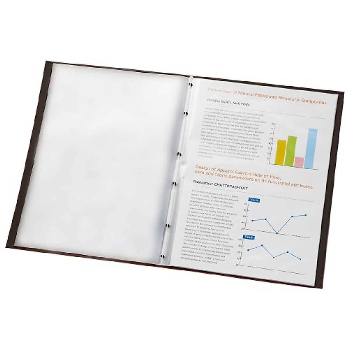 Kingjim 1931LF Clear File Leather Festival Black