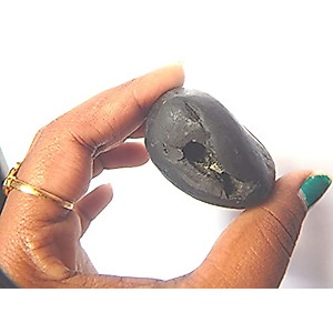 XUETZALCOATL Sacred Adwaitya Shweta Gadadhar Pandit Shaligram Nepal Kali Gandaki