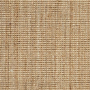 Royal Sapphire Natural Fiber Hand Woven Natural Jute Rectangle Area Rug Basketweave Natural Seagrass Rug for Home Decor (2 * 3 feet)