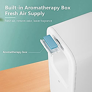 Pazarfami Desk Fan, Portable Bladeless Fan for Bedroom, Office Table, Small USB Personal Fan with Aromatherapy Supply, Breeze Quiet Fan with Touch Control 3 Gear Gentle Wind（Green or White）