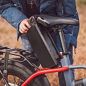 Hipeak Bona Electric Bike for Adults, Ebike 750W/48V/15Ah, 20" x 4.0" Fat Tire Electric Bike Folding with Removable Battery, Step-Over Folding Adult Electric Bicycles Front Shock Absorber