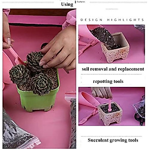 Succulent Plant Tools Set,Indoor Plants Tool Kit,Repotting Mat,Fairy Gardening Hand Tools,Mini Garden Planting Watering Tool,Flower Pot Hole Mesh Pad for Houseplants,Cactus,Bonsai,Terrarium (Set A)