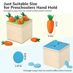 Babehey 4 in 1 Montessori Toys for 1 Year Old Boys Girls, Wooden Shape Sorter Toy, Fine Motor Skill Toys, Montessori Coin Box, Montessori Baby Toys 6-12, 12-18 Months