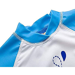 Baby Toddler Boys Two Pieces Swimsuit Set Boys Bathing Suit Rash Guards with Hat UPF 50+ FBA (Crab-c, 6-9 Months)