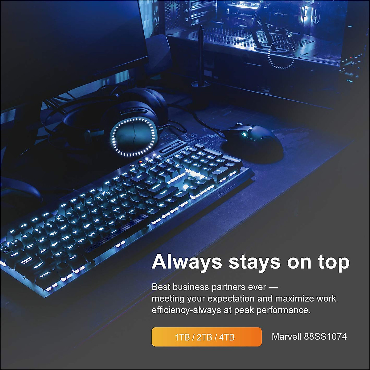 Exascend EXSC3 2TB 2.5 Inch SATA III 6Gb/s 3D NAND High Performance Internal SSD