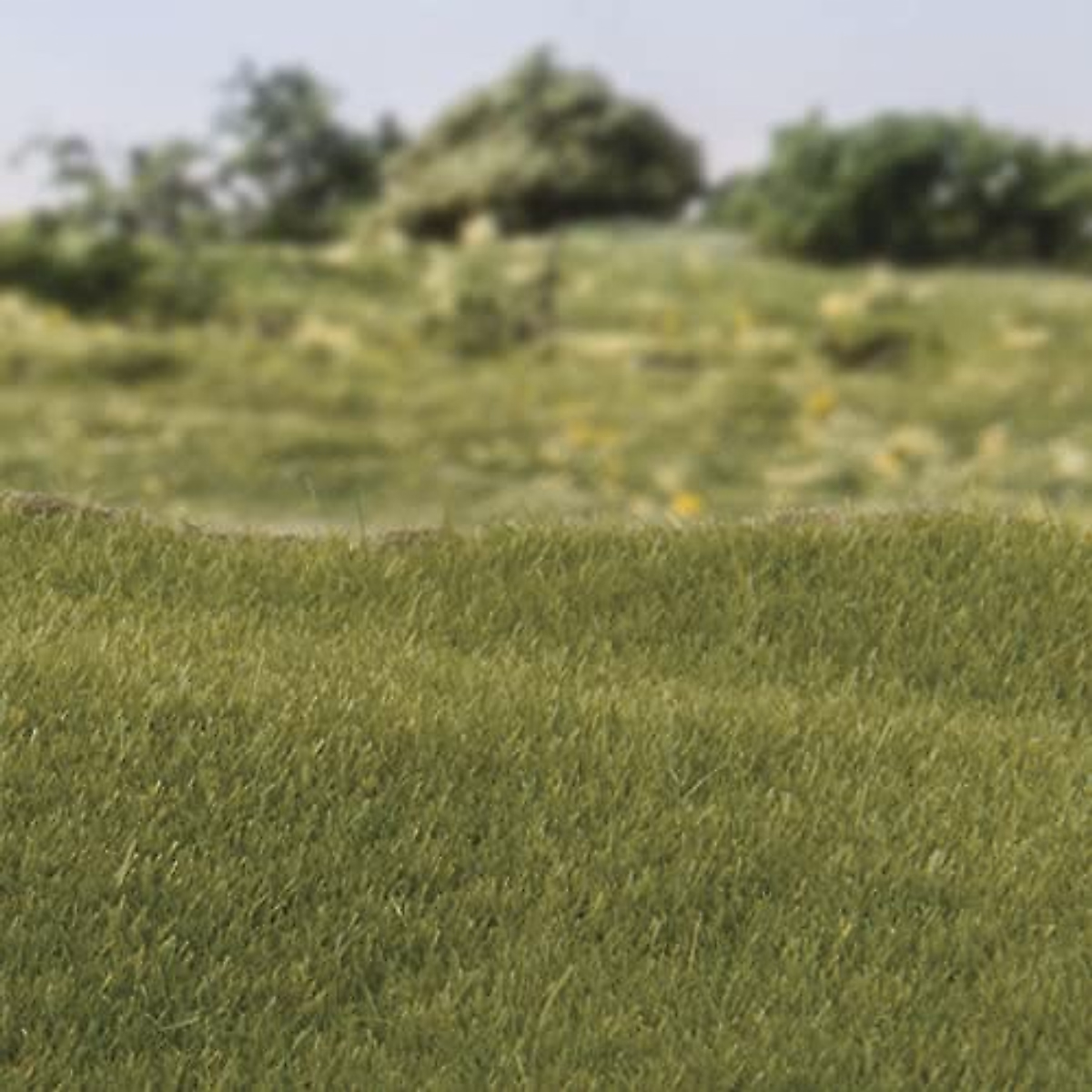 Woodland Scenics Static Grass 2mm -Dark Green -FS613