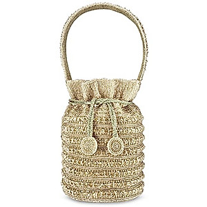 Aheli Potli Bags for Women Evening Bag Clutch Ethnic Bride Purse with Drawstring(P50G)
