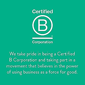 Stash Tea Peach Black Tea, 6 Boxes With 20 Tea Bags Each (120 Tea Bags Total)