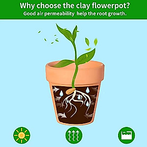 TKSCUSR 3 Inch Terracotta Pots with Saucer-20 Pack，Cactus Terra Cotta Flower Pots with Drainage，Succulent Nursery Clay Pots Great for Plants,DIY Crafts, Wedding Favor